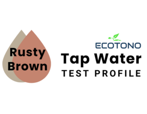 Rusty Brown Tap Water Testing in Florida - Ecotono FL